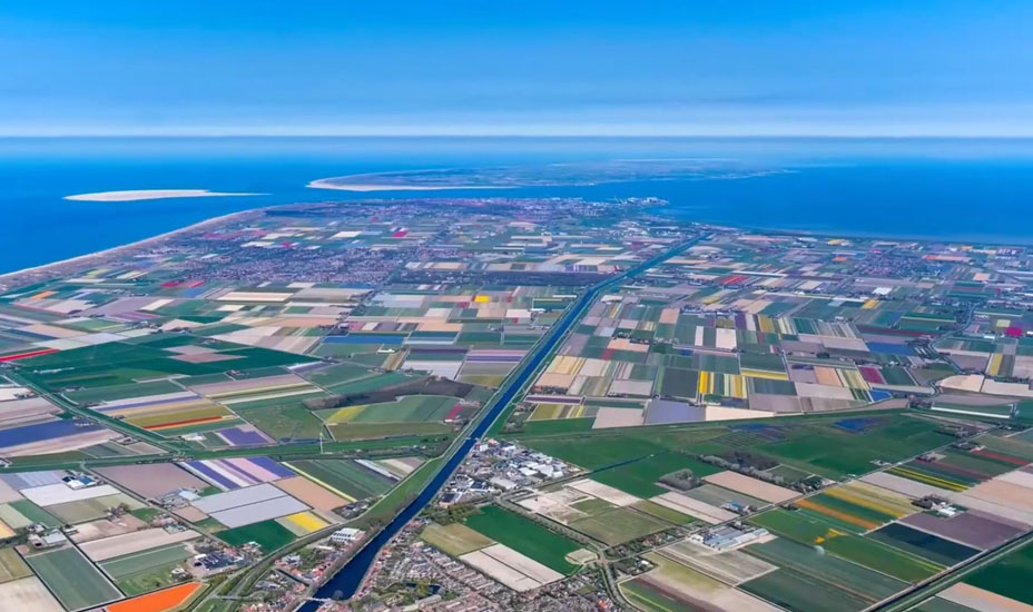 Ontwikkeling Maritiem Cluster van Den Helder